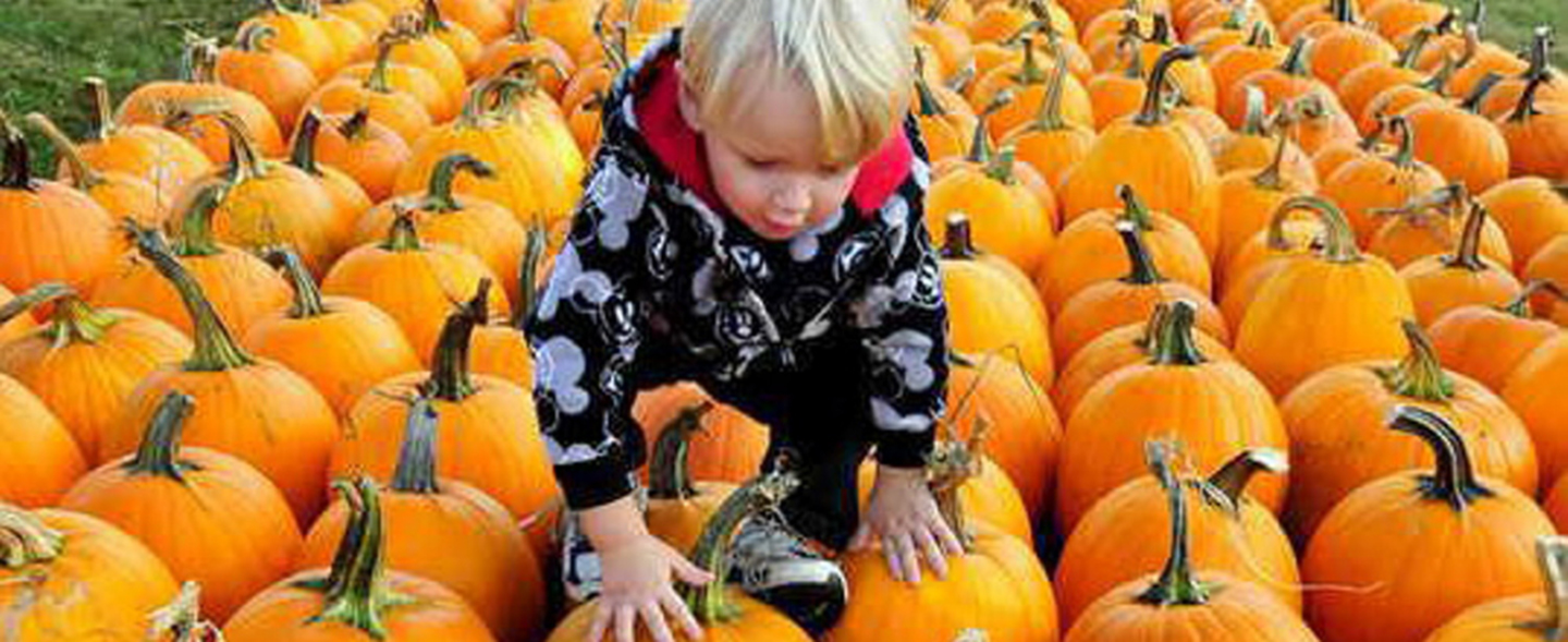 2018 – Learn.Linetec.com