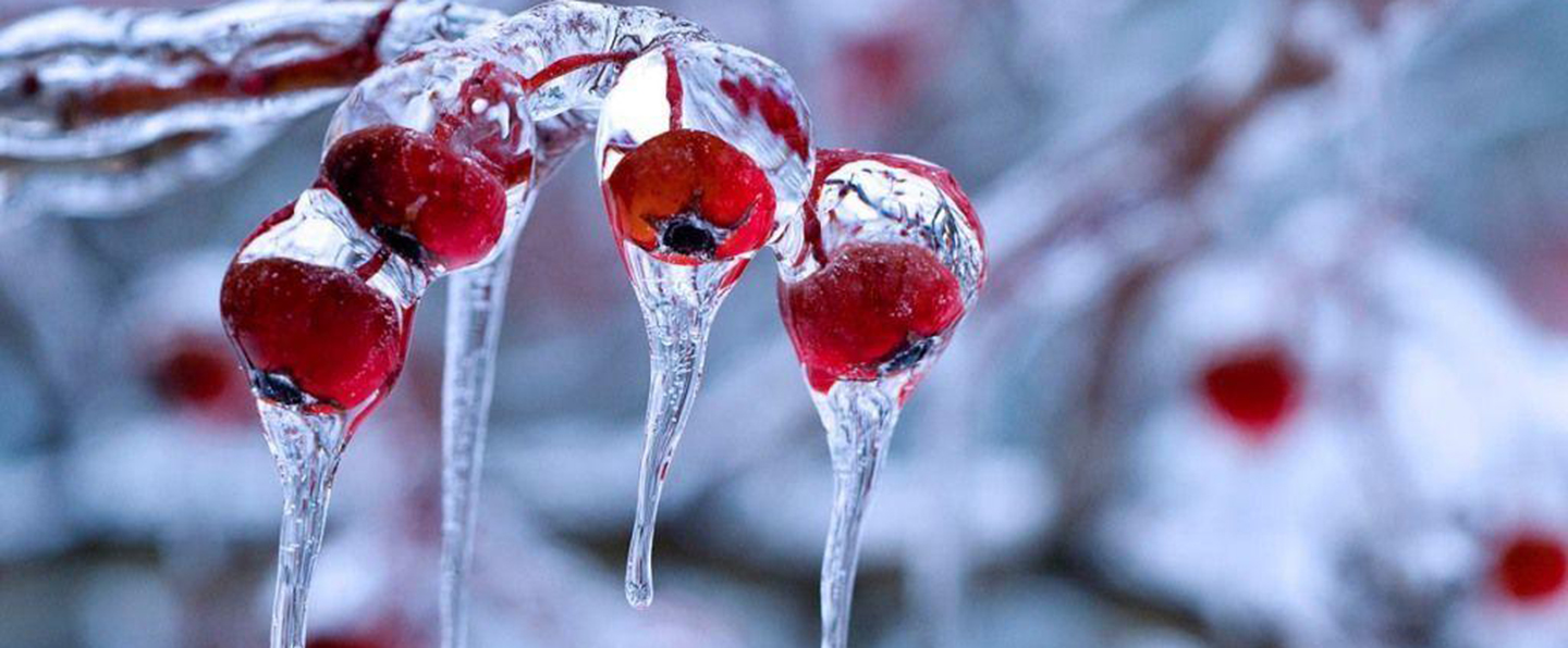 2018 – Learn.Linetec.com